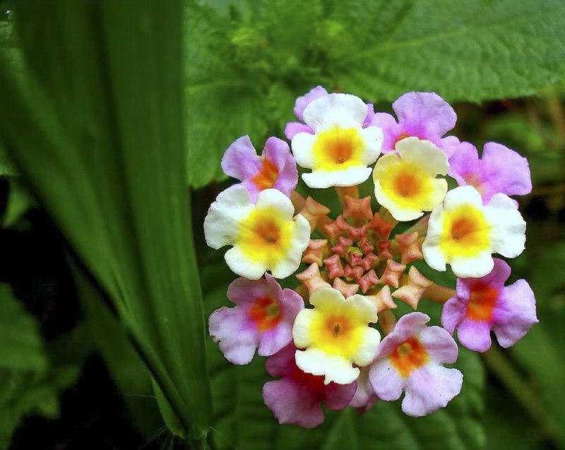 Cancun, Mexico - People And Nature In The City Beyond The Tourist Zone