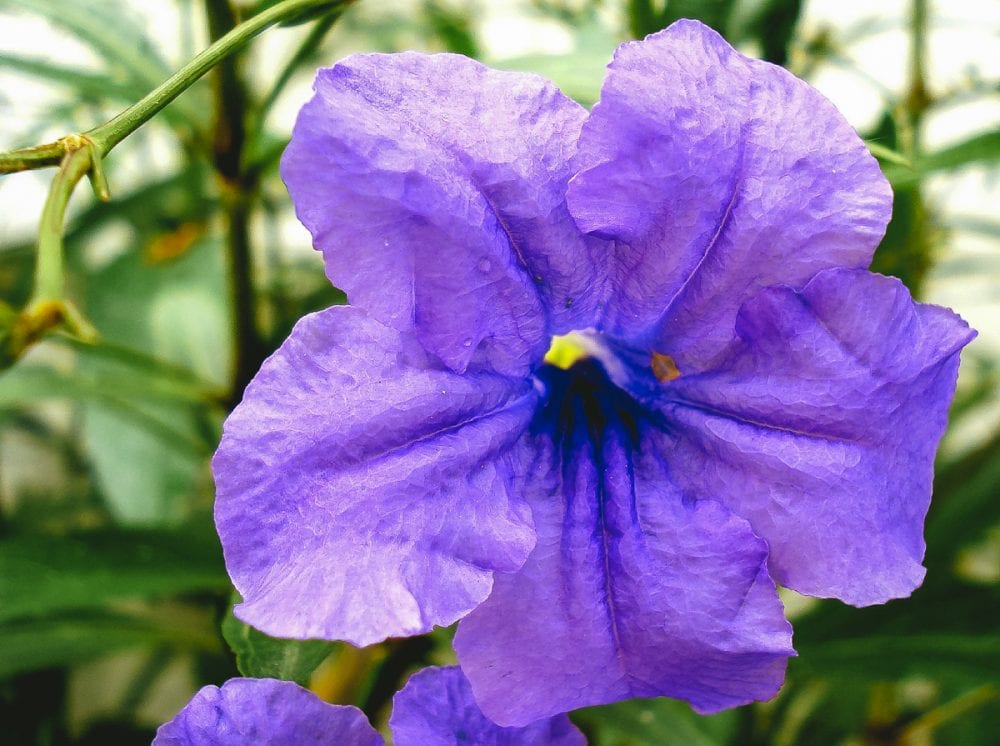 Cancun, Mexico - People And Nature In The City Beyond The Tourist Zone