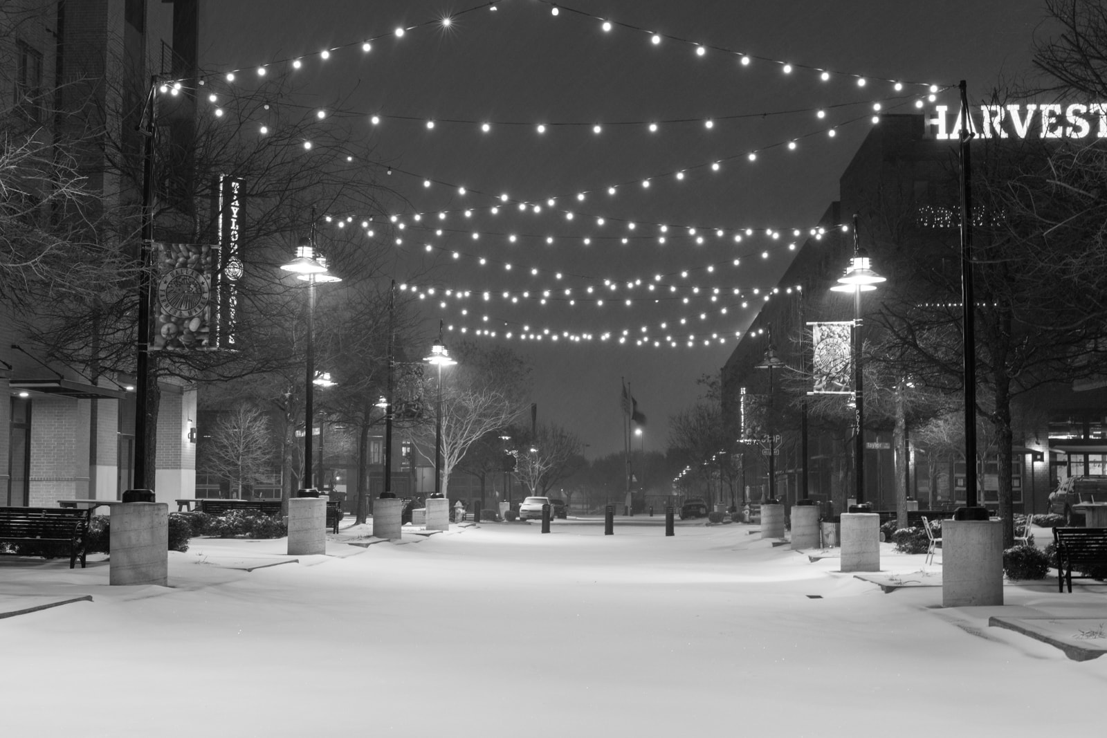 Dallas Snow 2021, Photos Of Downtown And Deep Ellum At Night