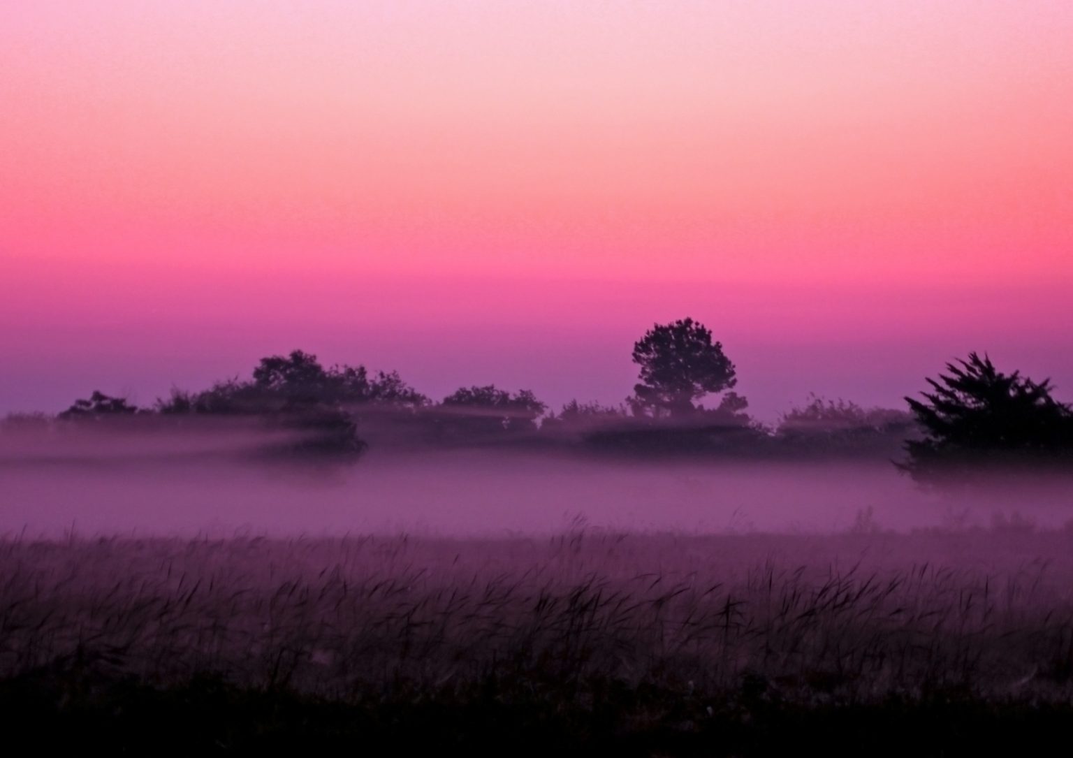 East Texas Landscape Photos Of Pastures, Farms, and Roads