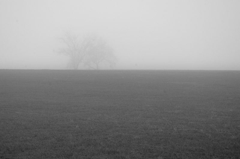 East Texas Landscape Photos Of Pastures, Farms, and Roads