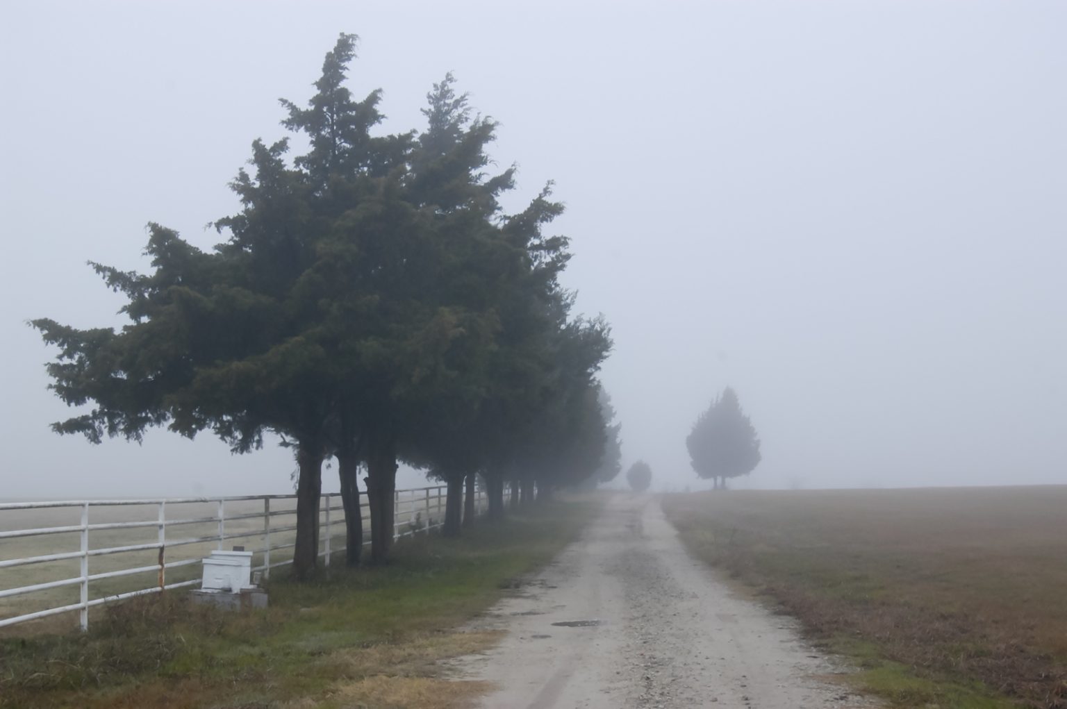 East Texas Landscape Photos Of Pastures, Farms, and Roads
