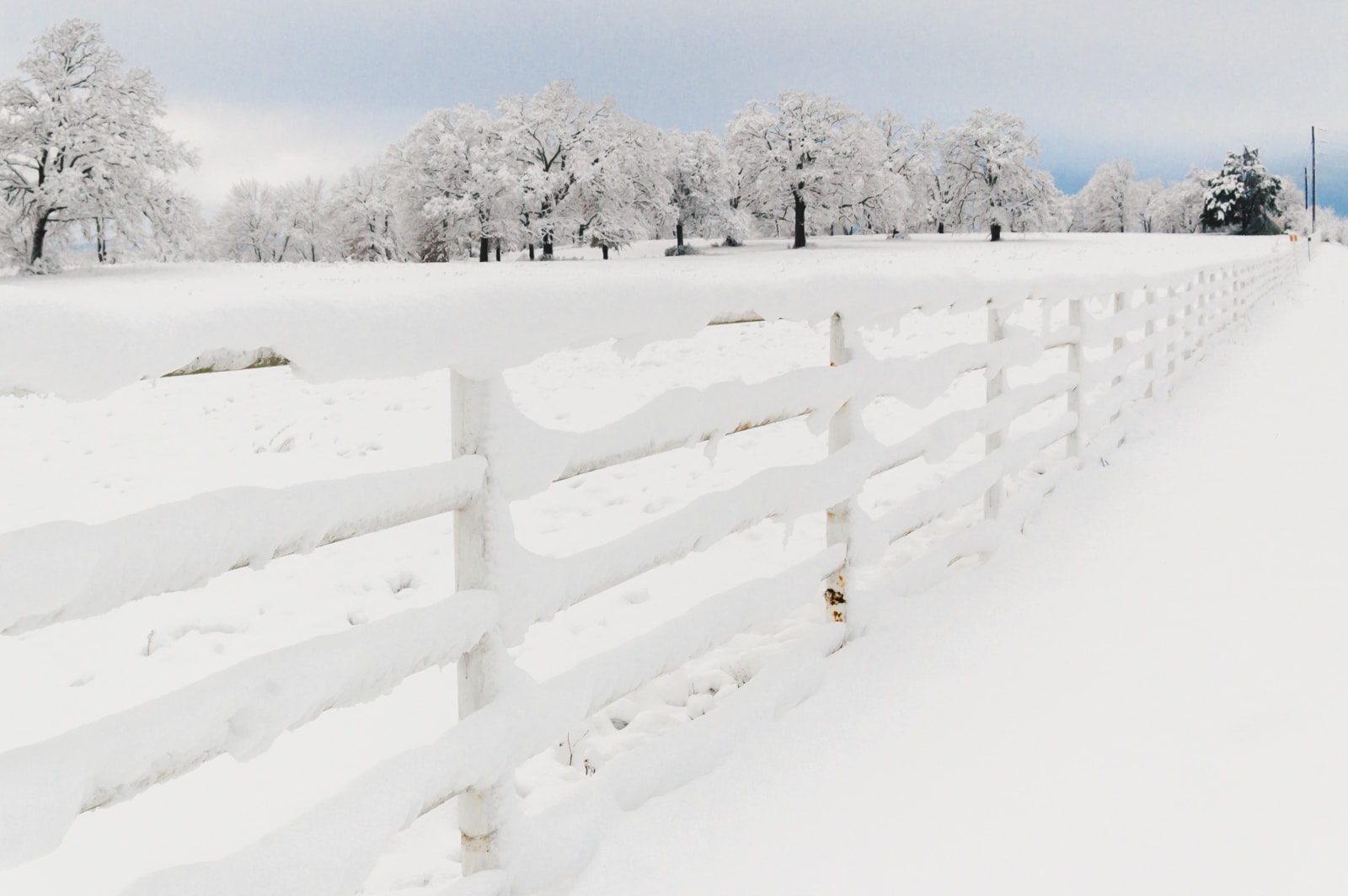 Wills Point Snow From The 2010 North American Blizzard That Hit Texas