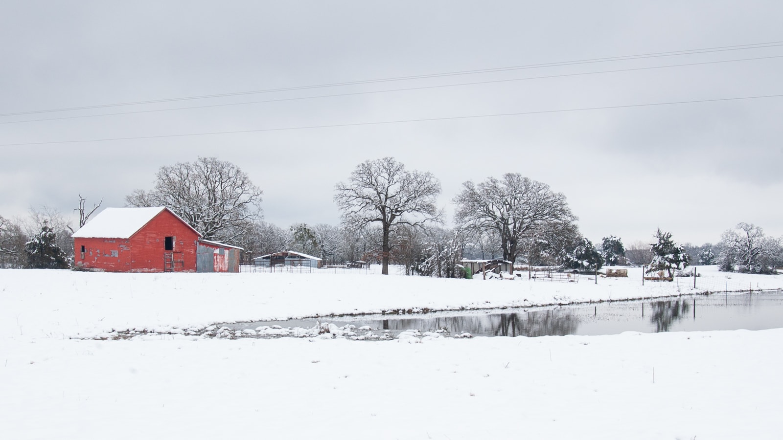 Wills Point Snow From The 2010 North American Blizzard That Hit Texas